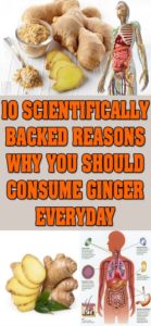 10 Scientifically Backed Reasons Why You Should Consume Ginger Everyday